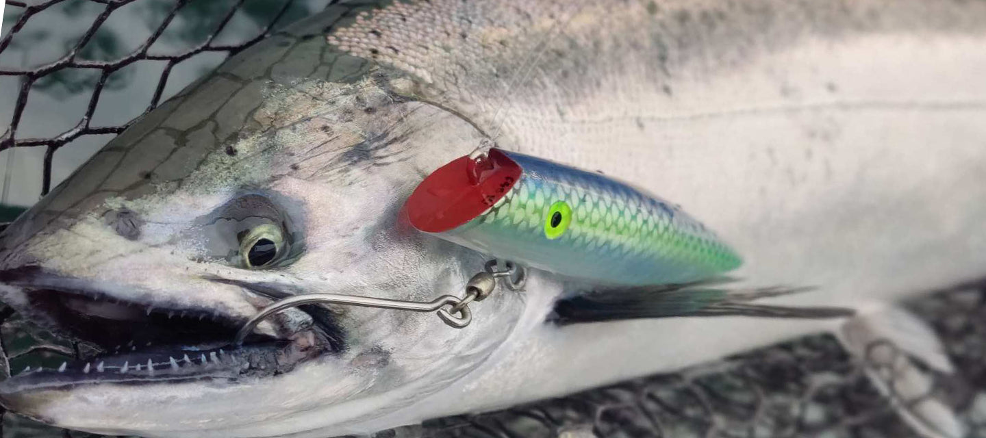 Seattle Fishing Company